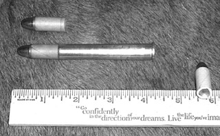 Hunting with Paper Patch Bullets in Sharps 45/120 AKA 45/110 – Single ...