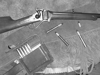 Hunting with Paper Patch Bullets in Sharps 45/120 AKA 45/110 – Single ...